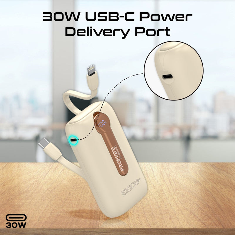 4-Piece 10000mAh Power Bank Charging Set with In-Built USB-C and Light ...