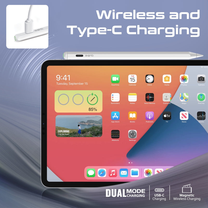 Precision Active Stylus Pen with Palm Rejection & Accessory Kit ...