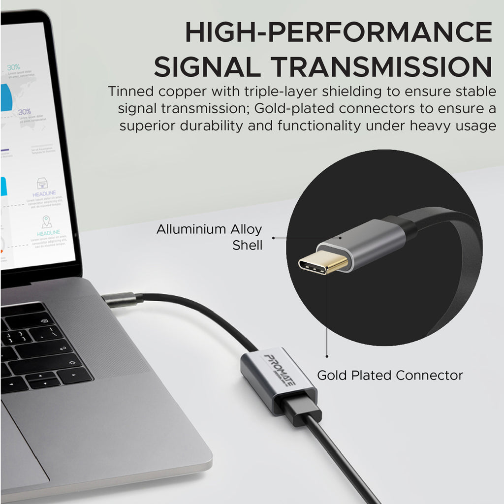 High Definition USB-C to HDMI® Adapter – Promate Technologies