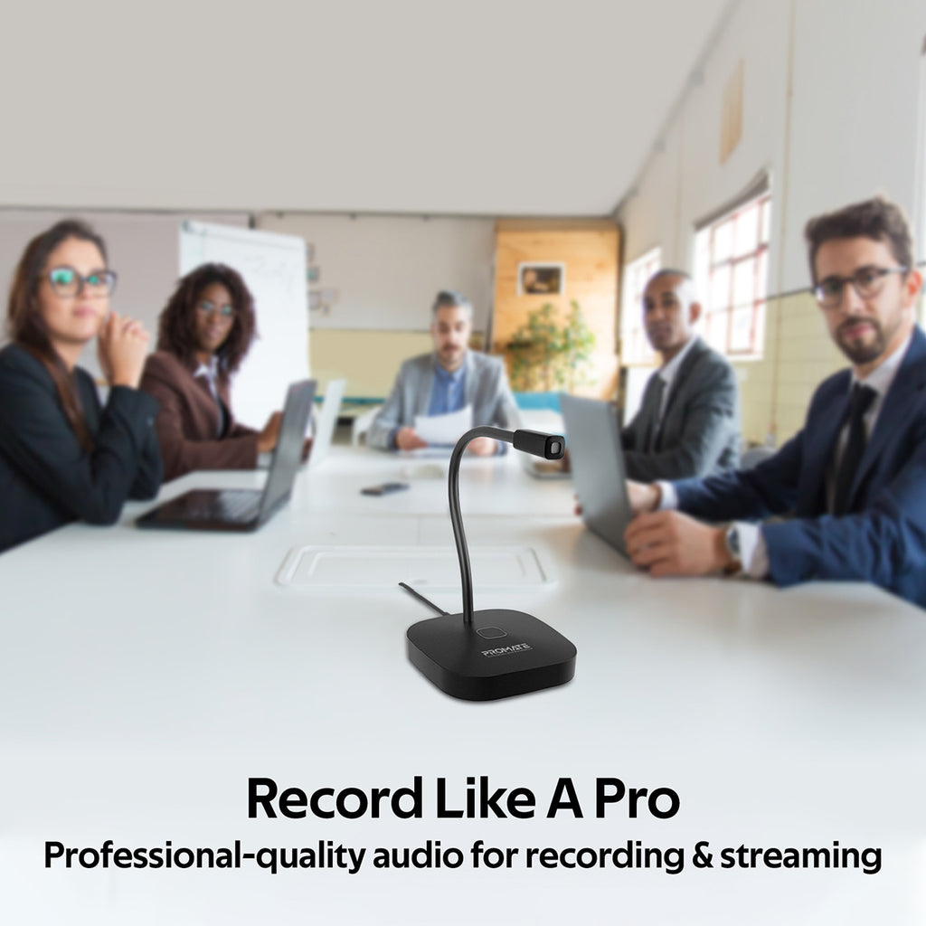 High Definition Omni-Directional Microphone with Flexible Gooseneck ...